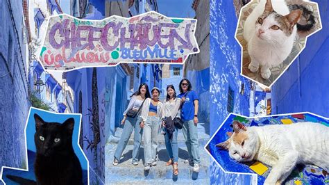 12 🇲🇦vlog 고양이 왕국 아니 푸른 진주 쉐프샤우엔 모로코 1편 Eng Sub Youtube