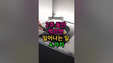 2주 동안 매일 두 개의 계란을 먹으면 일어나는 일 4가지 Youtube