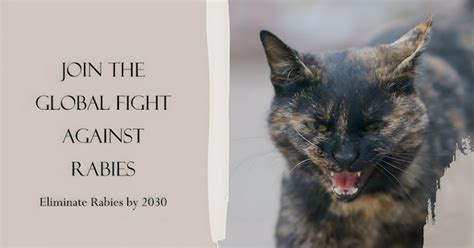 Premium Ai Image Rabies Awareness Program