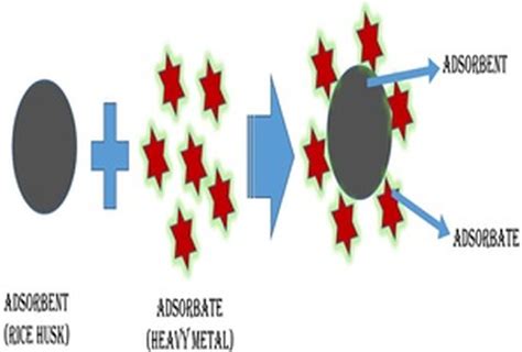 Schematic Diagram For Adsorption Of The Heavy Metal Ion Download