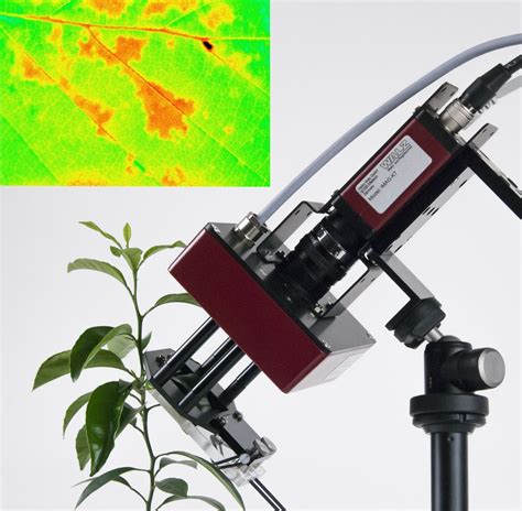Ground Based Remote Sensing Of Solar Induced Chlorophyll Fluorescence