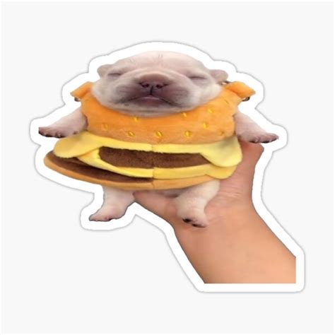 Burger Pibble Sticker For Sale By Buryneetshop Redbubble
