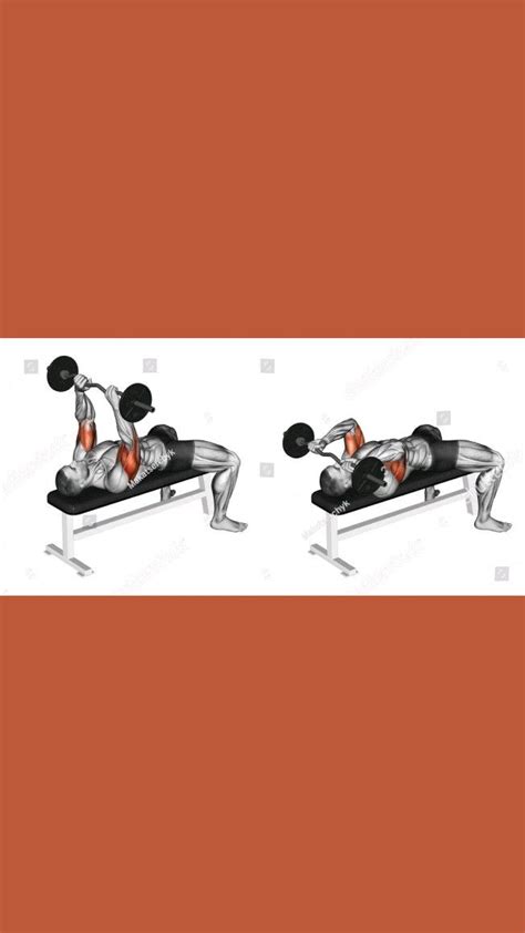 Advanced Level Of Tricep Workout Triceps Workout Cable Workout Arm