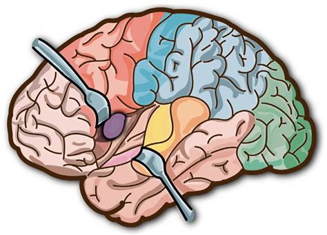 Neurosurgeon Clipart