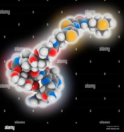 Bleomycin Molecular Model Of The Anti Cancer Drug Bleomycin C55 H84 N17 O21 S3 A
