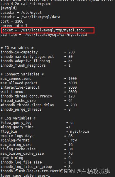 如何查看docker下的mysql版本docker 查看mysql状态 Csdn博客