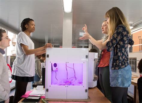 Impactaste Pioneering Sustainable Food Innovation