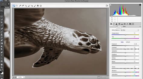 How Photoshops Sharpening Filters Work PictureCorrect