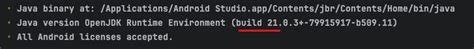 Android Studio Flutter Build Error Invalid Source Release When Building App Bundle