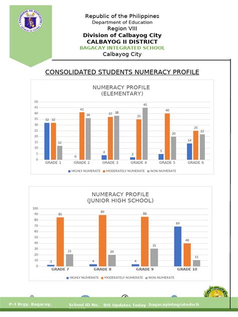 Graph Numeracy Profile Pdf