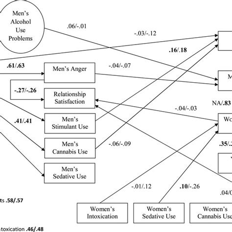 Standardized Path Coefficients For The Minor Severe Relationship Download Scientific Diagram