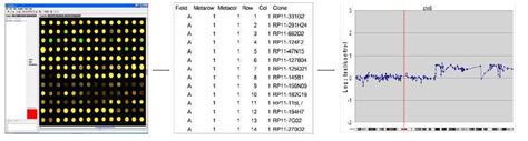 2 Bac Array Based Comparative Genomic Hybridization Image And Data Download Scientific Diagram