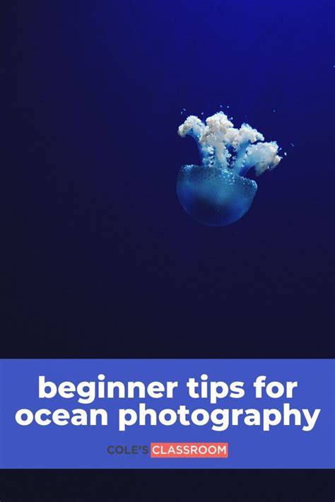 Ocean Photography 101 Easy Techniques For Capturing Beautiful Ocean