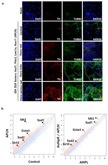 Gene Therapy Using Efficient Direct Lineage Reprogramming Technology For Neurological Diseases