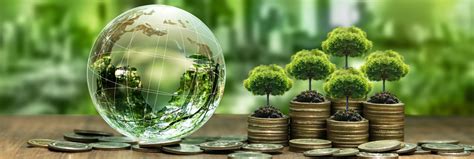 Embedding Sustainability In Credit Risk Assessment