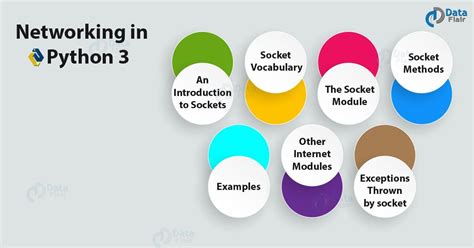 Python Network Programming What Is Socket Programming In Python