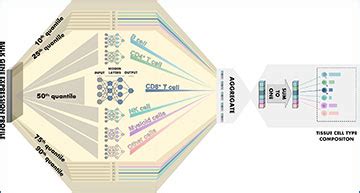 NNICE A Deep Quantile Neural Network Algorithm For Expression Deconvolution RNA Seq Blog