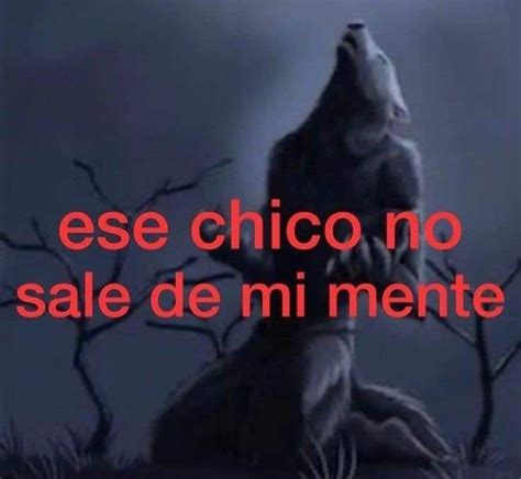 Pin De Tammi En Idk Im Genes Divertidas Im Genes Graciosas Im Genes Humor Sticas