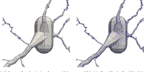 Figure From Diffusion MRI Simulation Of Realistic Neurons With SpinDoctor And The Neuron