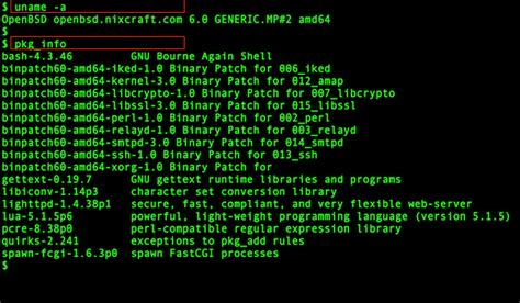 Openbsd Install Or Add Binary Software Package Using Pkgadd Nixcraft