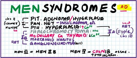 Men Syndromes Rpathologyflashcards