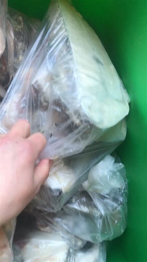 Видео от ЗОЛОТАЯ РЫБКА рыба копченая свежая икра — Видео от ЗОЛОТАЯ РЫБКА рыба копченая