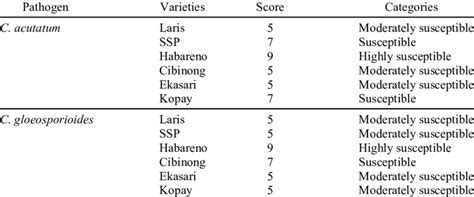 The Classification Of Anthracnose Resistance In Six Varieties Of Chili Download Scientific Diagram