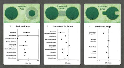 Habitat Connectivity Is For Lovers Wild Virginia