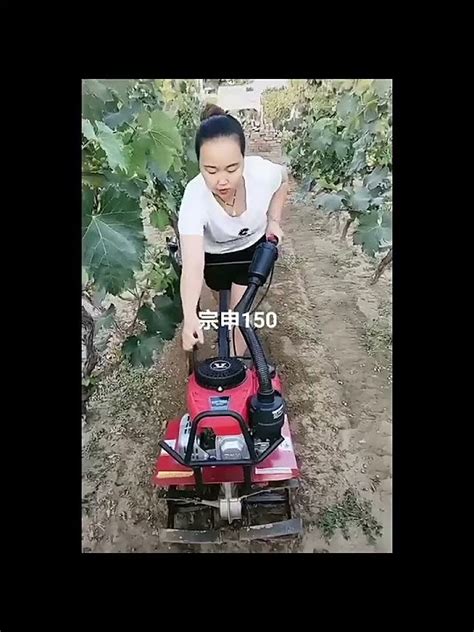 독일 농업용 미니 엔진 경작기 2행정 소형 텃밭 관리기 전동 밭갈이 제초 전동 경운기 배토기 Wr83 Ug09 Youtube