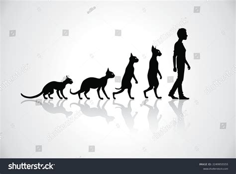 Funny Evolution Cat Human Stock Vector Royalty Free 2249955555 Shutterstock