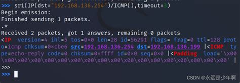 Scapy定制数据包详解linux自定义数据包 Csdn博客