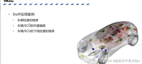 doip的基本信息（一） doip功能寻址和物理寻址 csdn博客