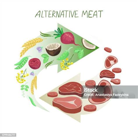비건 단백질 공급원 식물 기반의 육류 변환 과정 완두콩과 사탕무 밀과 유채 기름 코코넛 오일 벡터 일러스트 야채는 고기로 변환 단백질에 대한 스톡 벡터 아트 및 기타 이미지