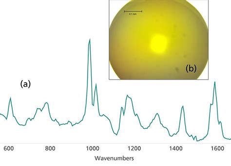 Identification Of Microplastics With Raman Microscopy Metrohm
