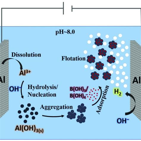 Distribution Of Boron Species In Aqueous Solutions At Different Ph Download Scientific Diagram