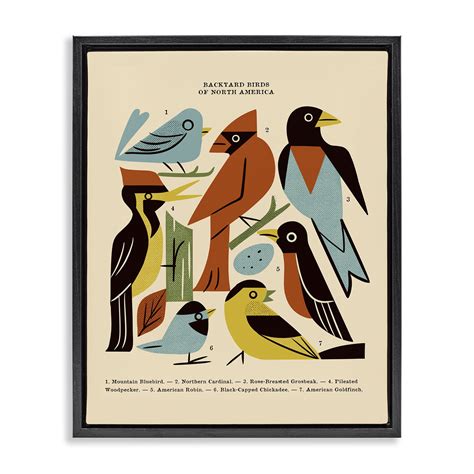 Backyard Birds Midcentury Modern Black Framed Floater Canvas Wall Art