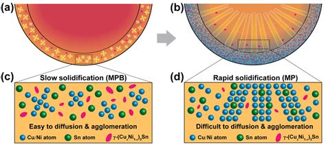 schematic illustrations of the solidification within a single melt