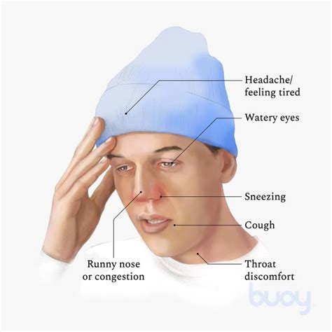 Head Cold Symptoms And Signs