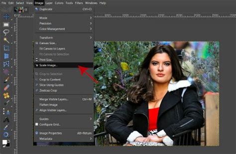 How To Edit A Photo In GIMP Steps Davies Media Design
