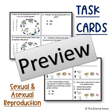 Sexual And Sexual Reproduction Task Cards In PDF And Google SlidesTM
