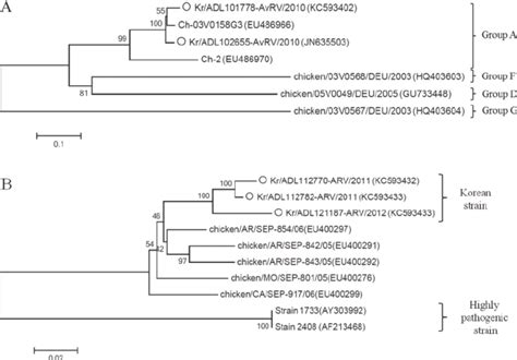 Phylogenetic Tree Based On Analysis Of Partial Nucleotide Nt Download Scientific Diagram
