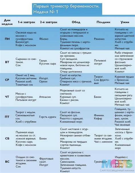 Что нужно знать о первом триместре беременности - medical insider