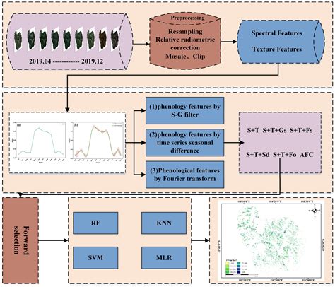 Forests Free Full Text Mapping Forest Stock Volume Using Phenological Features Derived From