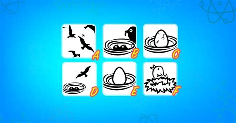 Visual IQ Test Answers My Neobux Portal