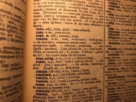 Dictionary Aesthetic Wallpaper