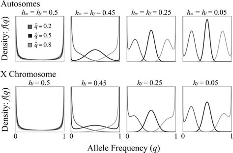 The Efficacy Of Balancing Selection Is Enhanced By Recessive Sexually Download Scientific