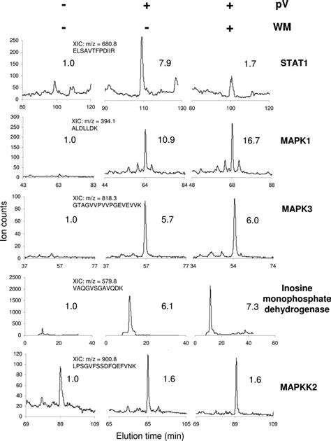 Examples Of Elution Profiles Of Protein Derived Peptides From
