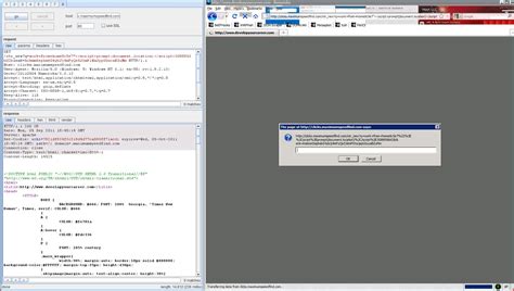xss dork ghdb cross site scripting cwe