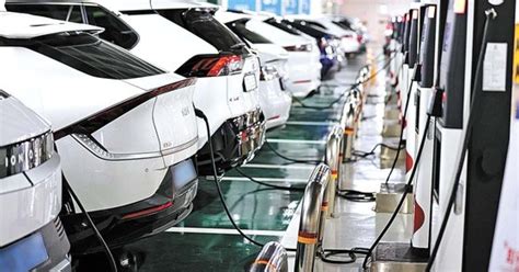 결국 피바다로 끝날 것전기차 덮친 캐즘의 덫 뭐길래