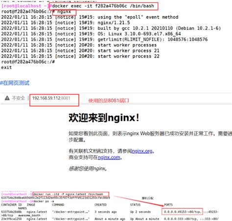 docker 网络详解（host、container、none、bridge网络模式） docker 不过些许风霜罢了 云原生